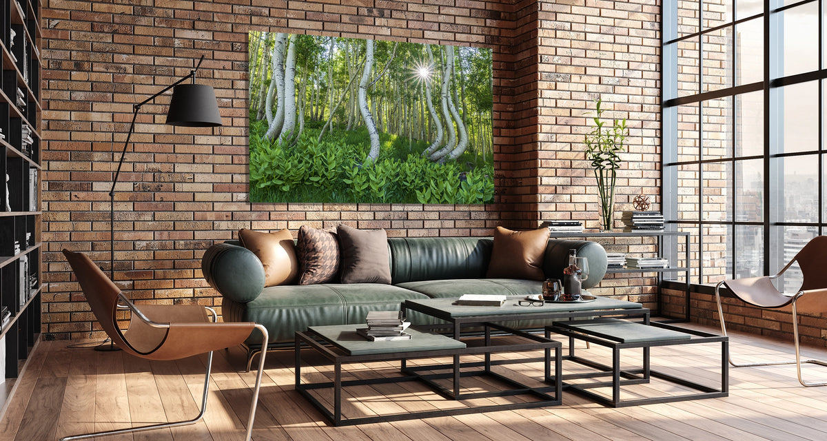 Dancing Trees II – John Richter Fine Art Photography