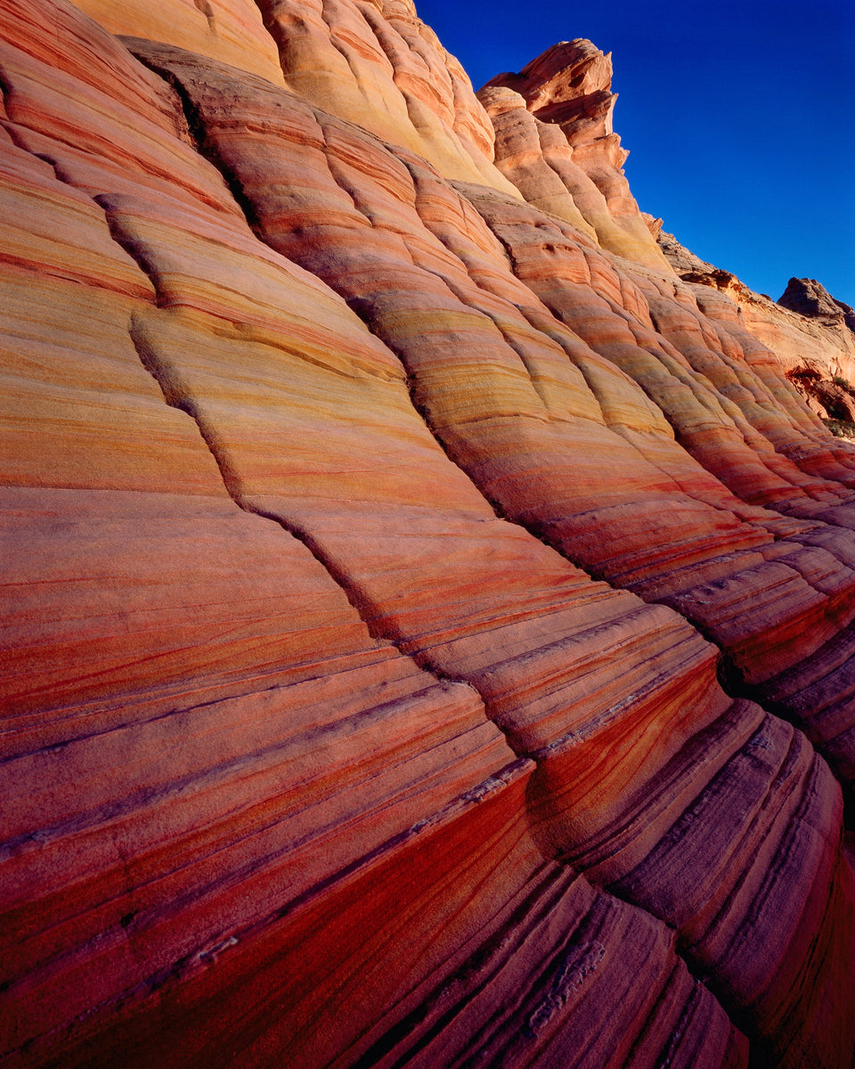 Coyote Colors – John Richter Fine Art Photography