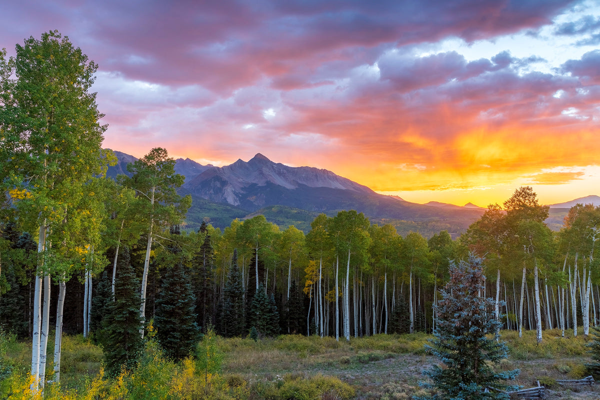 Golden Sunset – John Richter Fine Art Photography